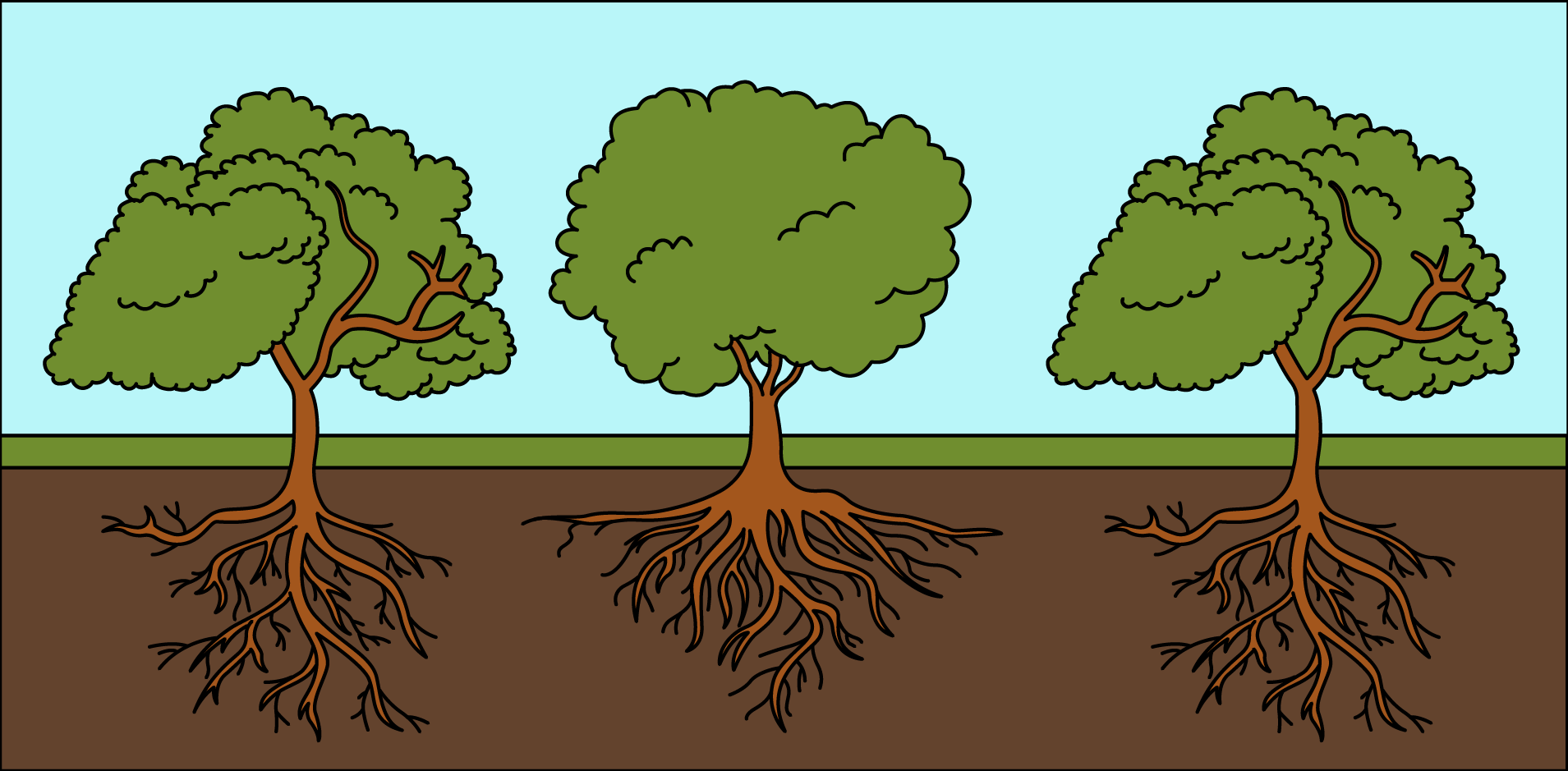 Man’s Impact on the Environment: What Happens After Trees Are Cut Down ...