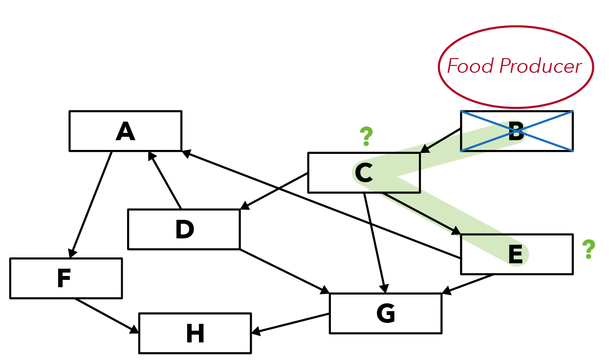 Web of Life: Examining A Complicated Food Web - Primary School Science ...
