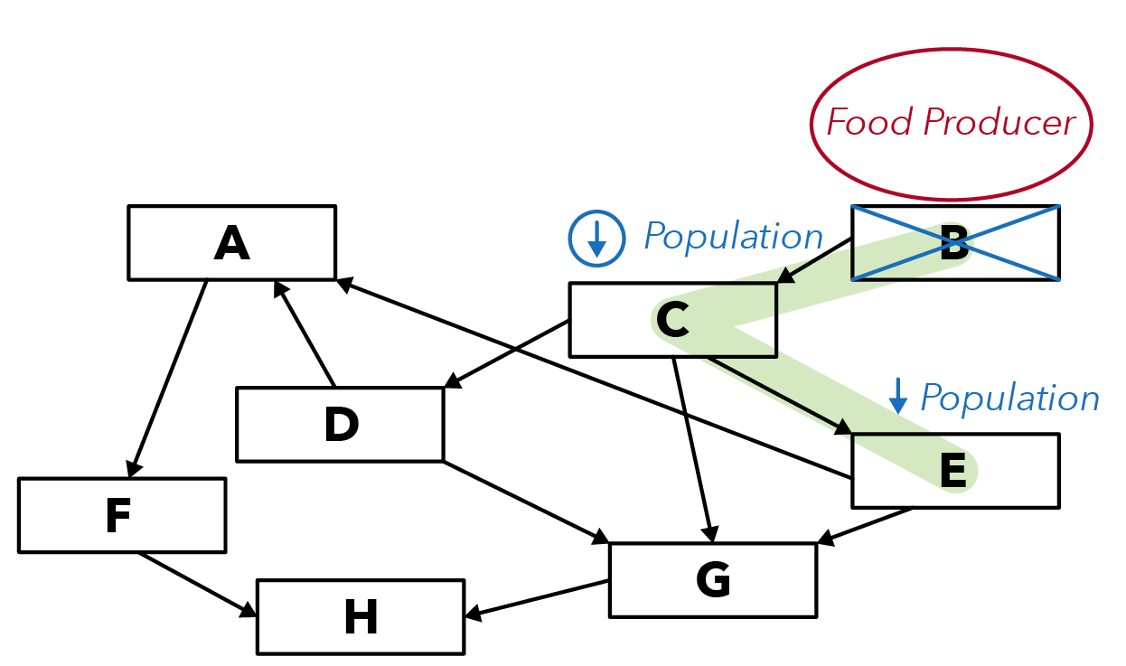 Web of Life: Examining A Complicated Food Web - Primary School Science ...