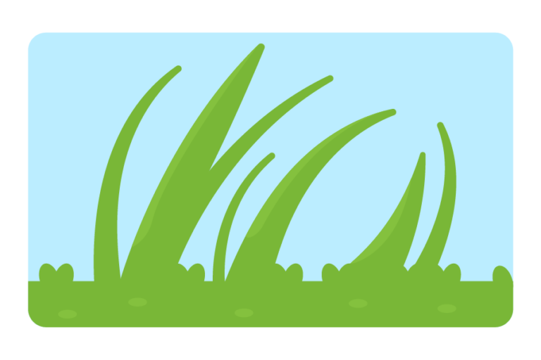 Web of Life: Examining A Complicated Food Web - Primary School Science ...