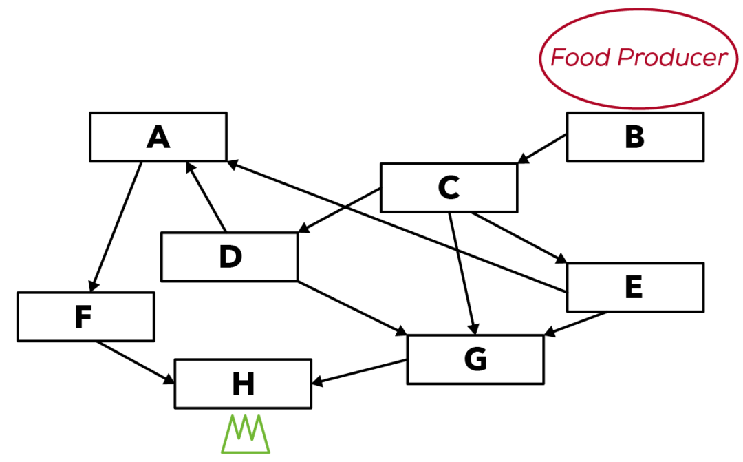 Web of Life: Examining A Complicated Food Web - Primary School Science ...
