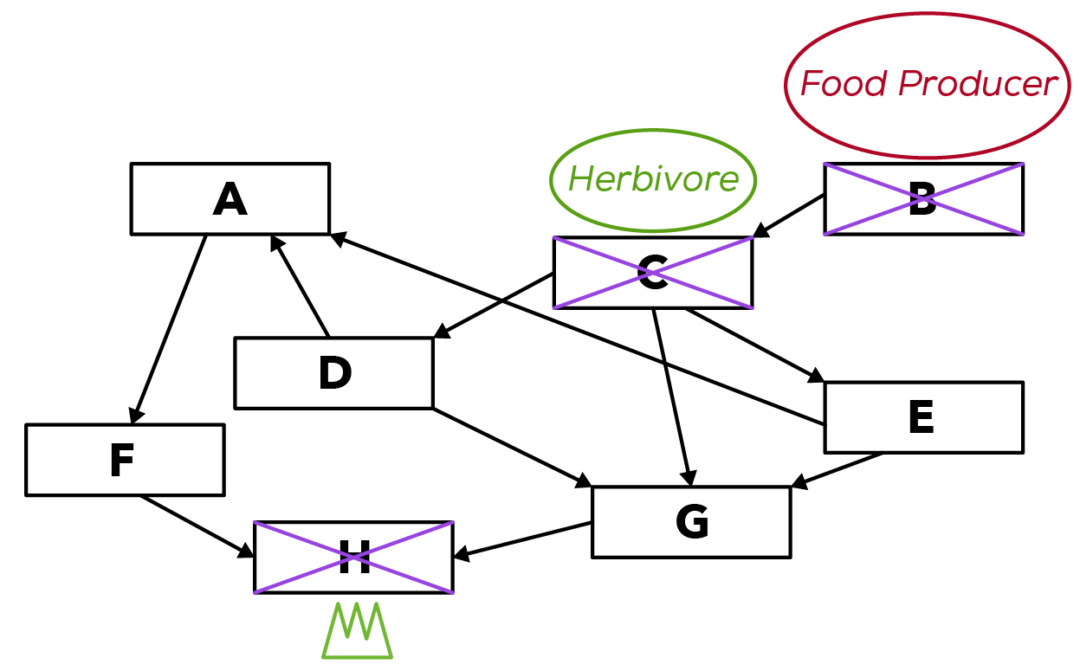 Web of Life: Examining A Complicated Food Web - Primary School Science ...