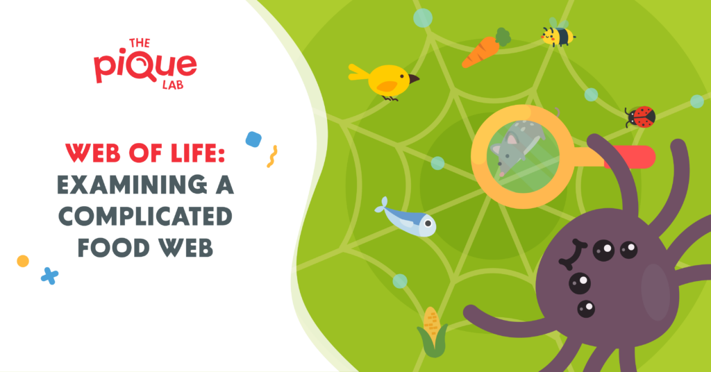 Web of Life: Examining A Complicated Food Web - Primary School Science ...