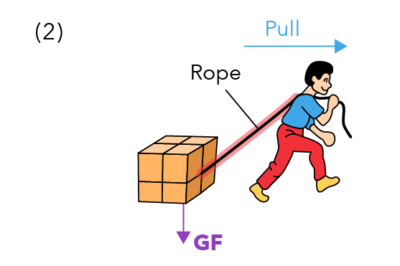 Forces: Identifying Factors That Affect Frictional Force - Primary ...
