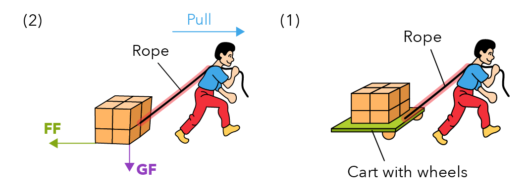 Forces Identifying Factors That Affect Frictional Force Primary