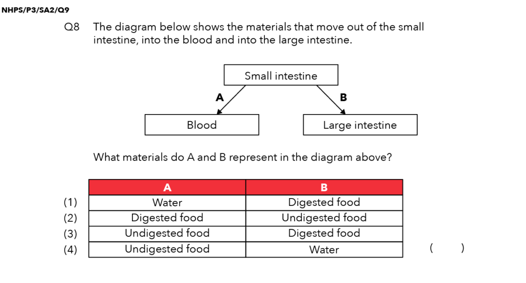 Digestive System: What Happens In The Small & Large Intestines ...