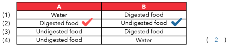 Digestive System: What Happens In The Small & Large Intestines ...