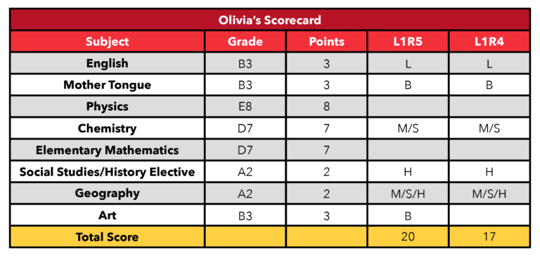 L1R4 System for JC Admissions: What Does It Mean For Your Child’s Math ...