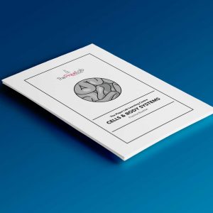 Magnets Practice Booklet - The Pique Lab Learning Centre