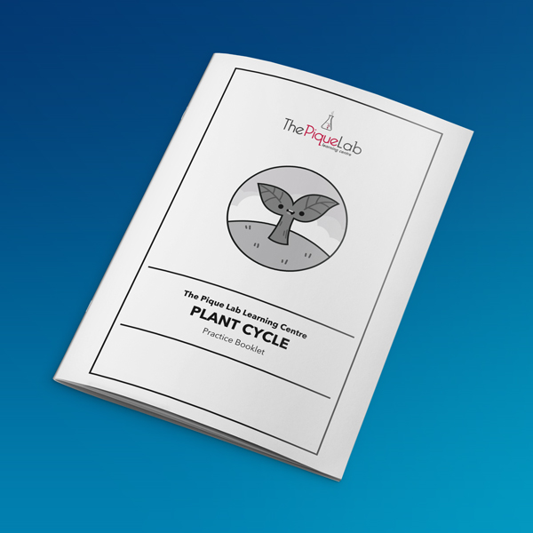 Plant Cycle Practice Booklet - The Pique Lab