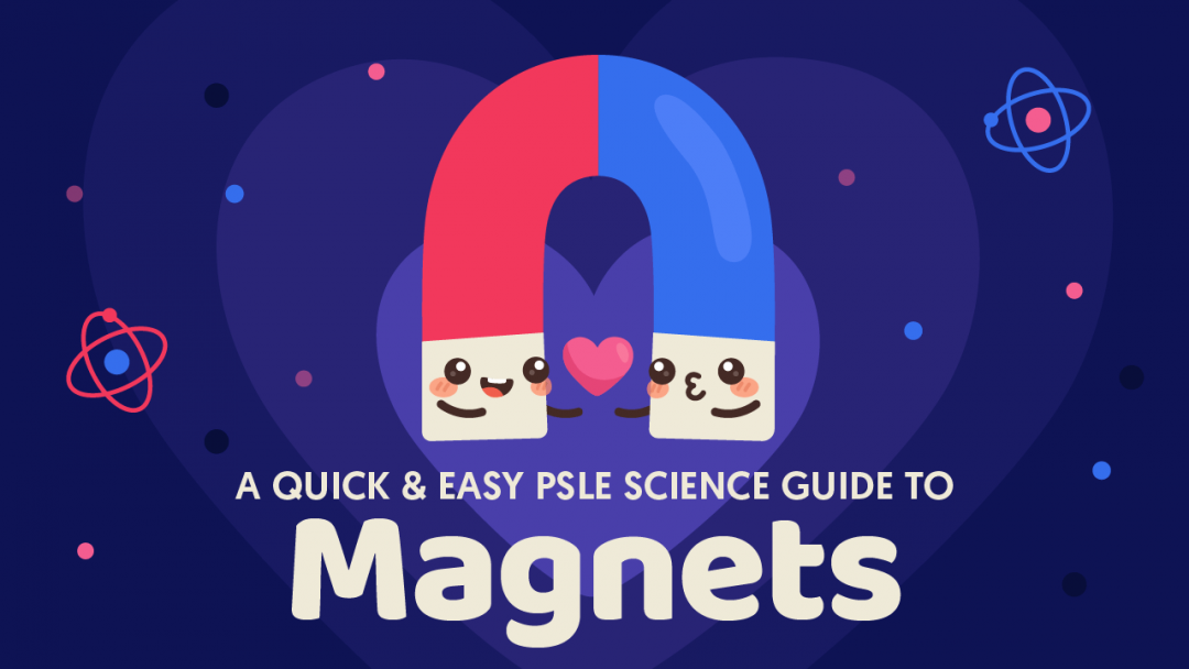 The Quick & Easy PSLE Science Guide To Magnets - The Pique Lab