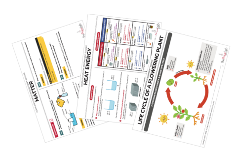 P4 Grade Accelerator Programme - The Pique Lab