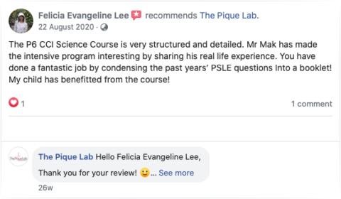The Pique Lab | PSLE, O Level Science & Math Tuition Centre