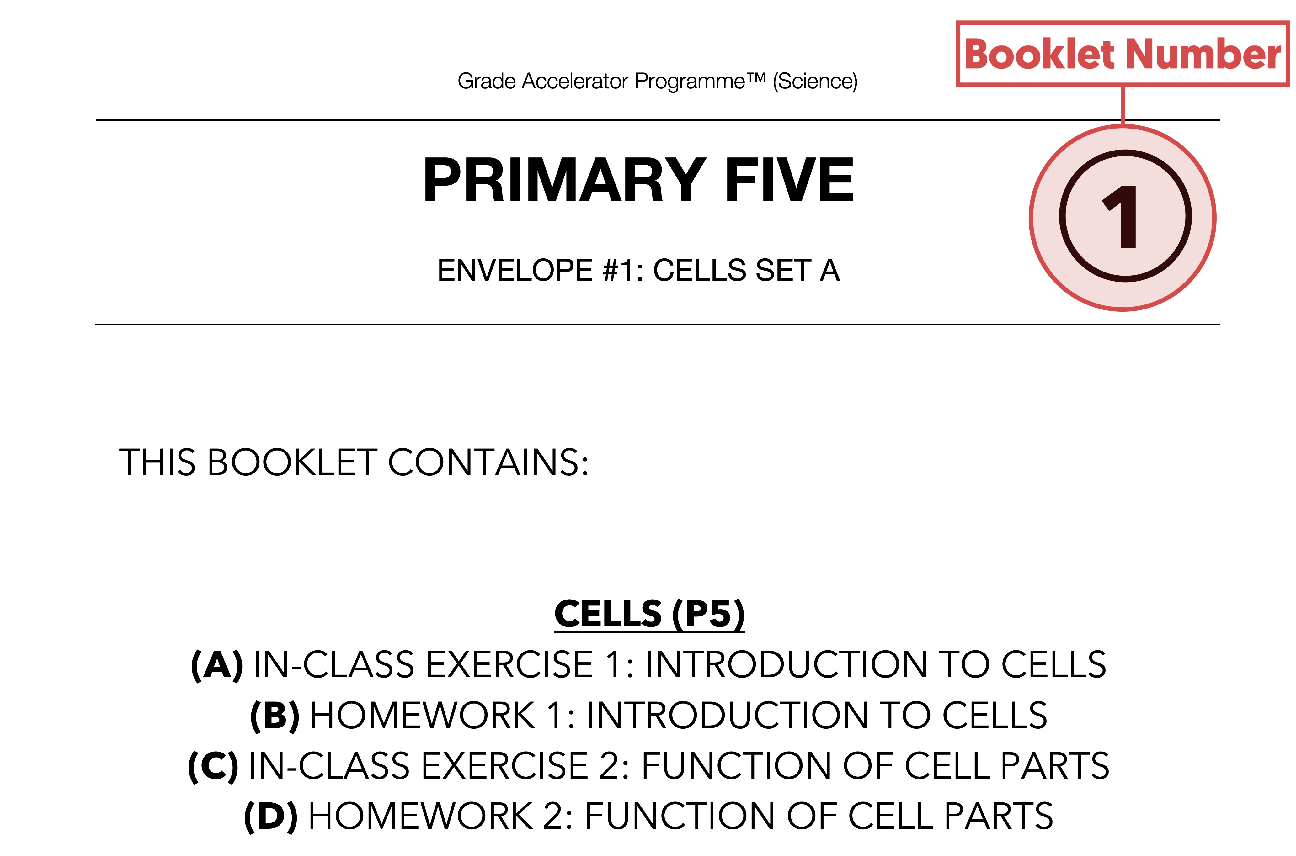 [P5 GAP] Materials Packing List - The Pique Lab