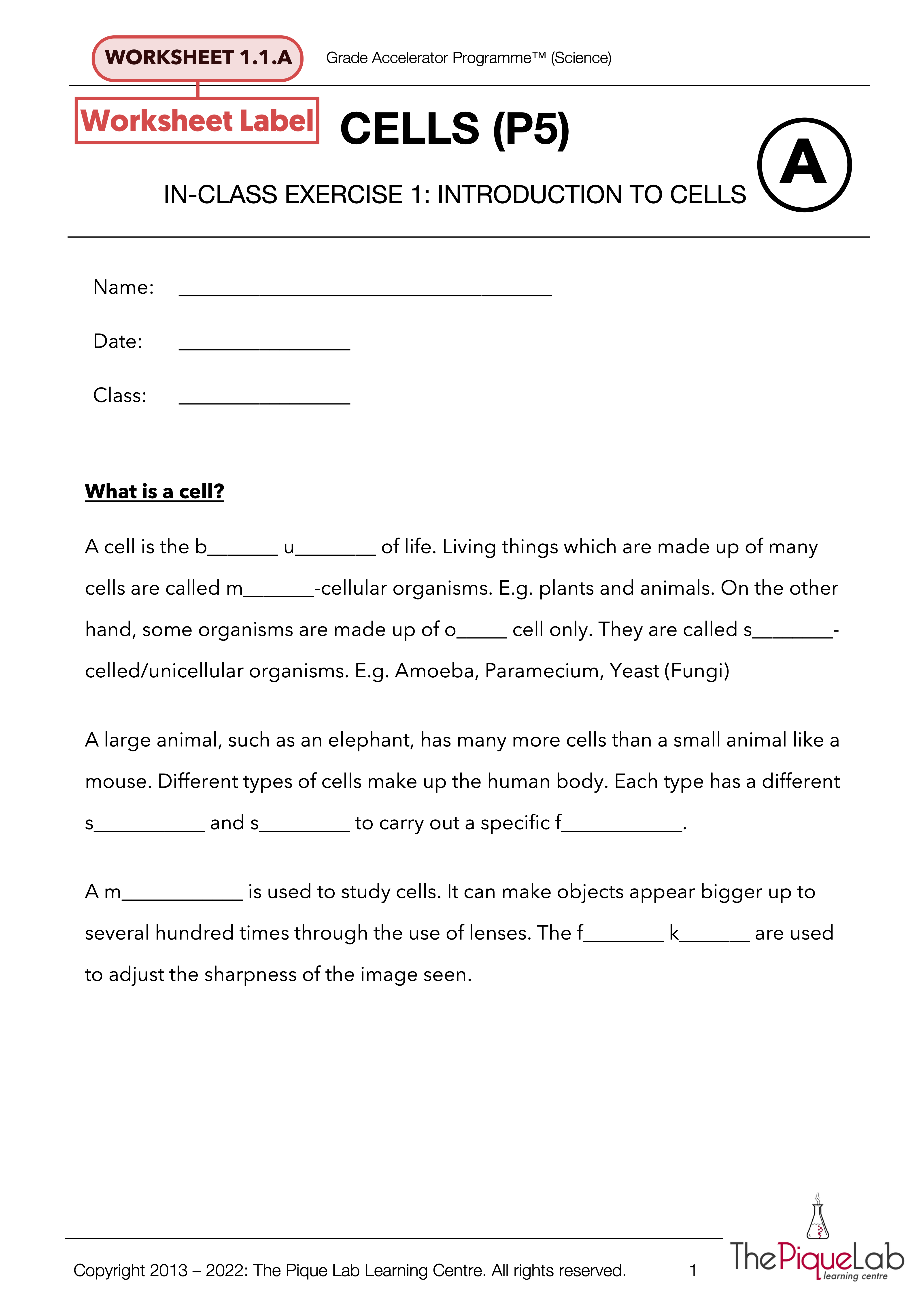 [P5 GAP] Materials Packing List - The Pique Lab