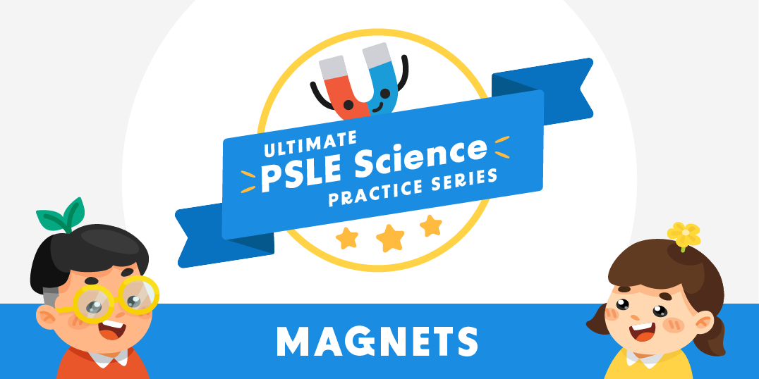 Ultimate PSLE Science Practice Series (P5 & P6 Topics): Explainer Video ...