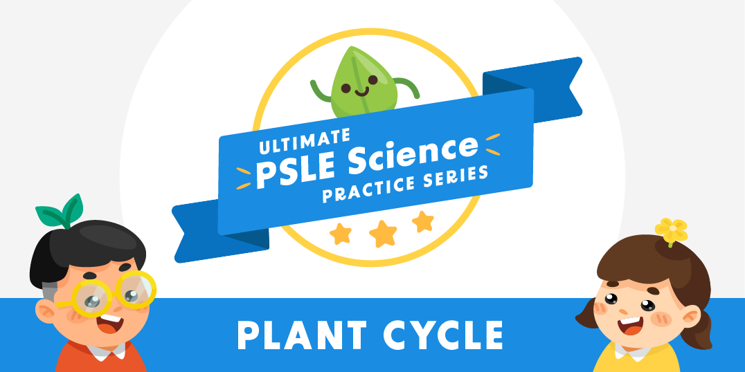Ultimate PSLE Science Practice Series (P5 & P6 Topics): Explainer Video ...