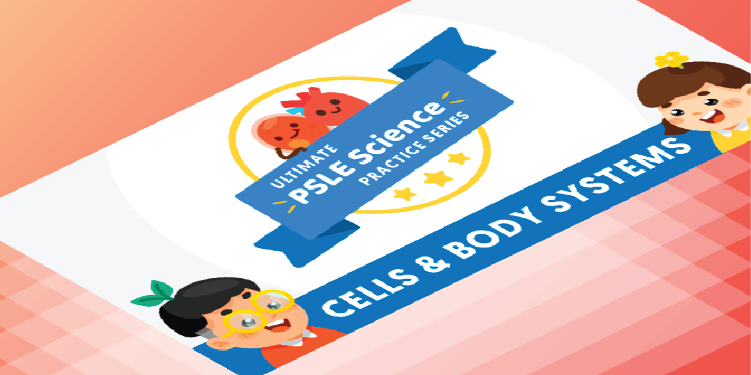 Ultimate PSLE Science Practice Series: Explainer Video Bundle (8 Topics)
