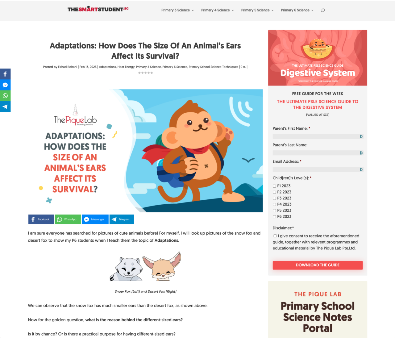 Teaching Associate Programme – Menu (P2) - The Pique Lab