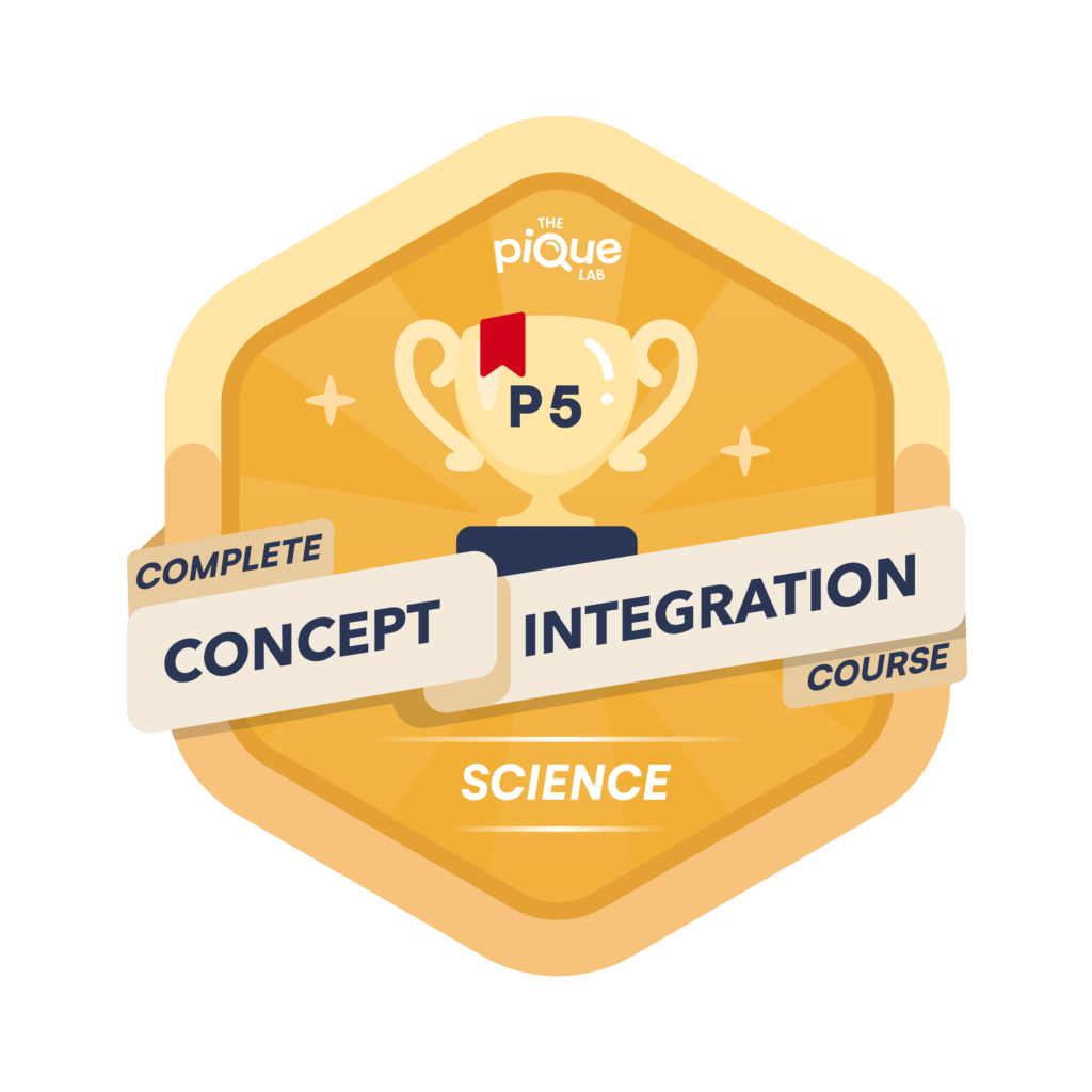 🤚🏻 P5 GAP FAQ: All About P5 CCI (Hold) - The Pique Lab