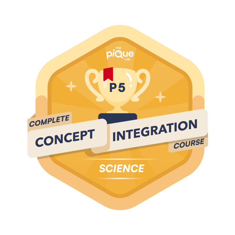🤚🏻 P5 GAP FAQ: All About P5 CCI (Hold) - The Pique Lab