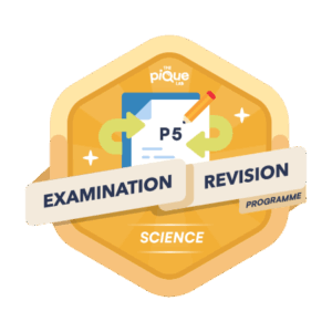 P5 Examination Revision Programme - The Pique Lab