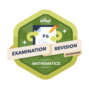 P6 Mathematics Examination Revision Programme - The Pique Lab