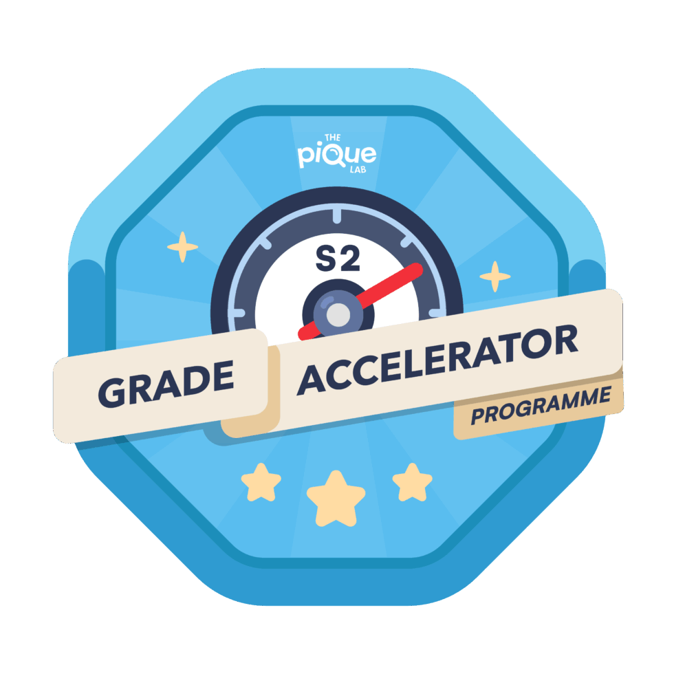 S2 Grade Accelerator Programme – Sign Up - The Pique Lab